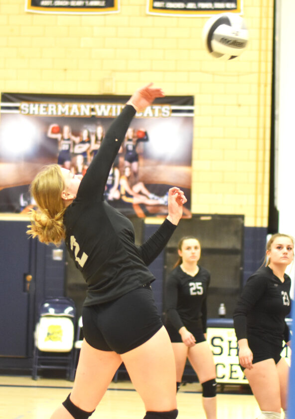 Westfield Advances In Class D | News, Sports, Jobs - Post Journal